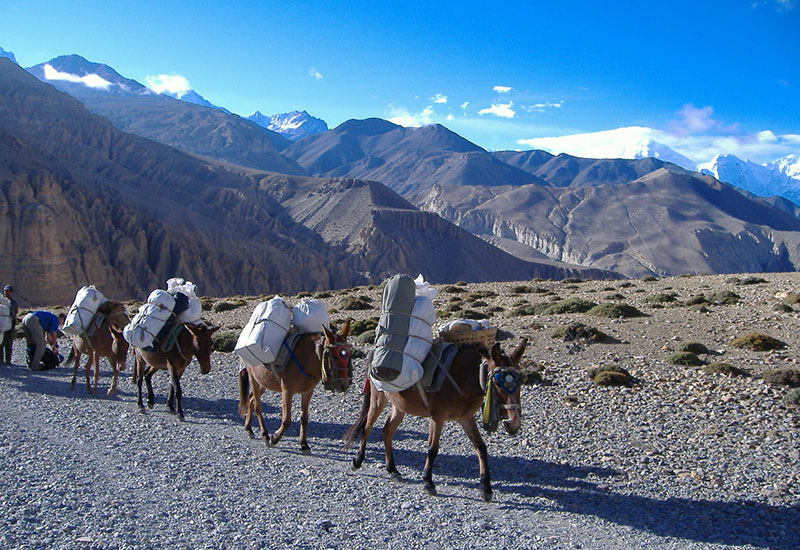 Upper Mustang Trek - Asian Trekking